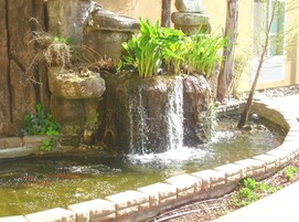 Jardim