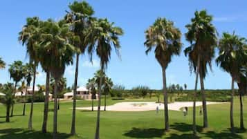 Golfe