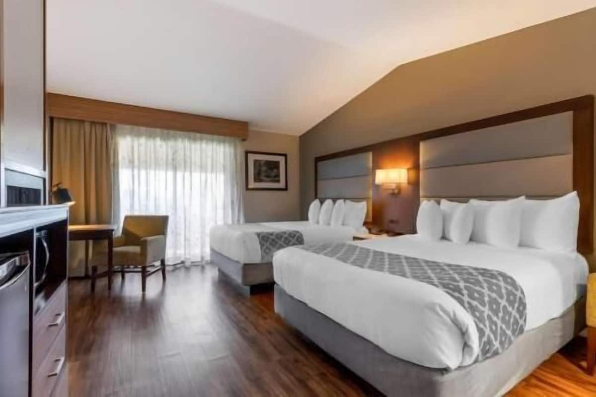 Quarto de hotel com duas camas, uma escrivaninha, uma cadeira e uma televisão.