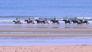Uma praia com um grupo de pessoas cavalgando na orla.