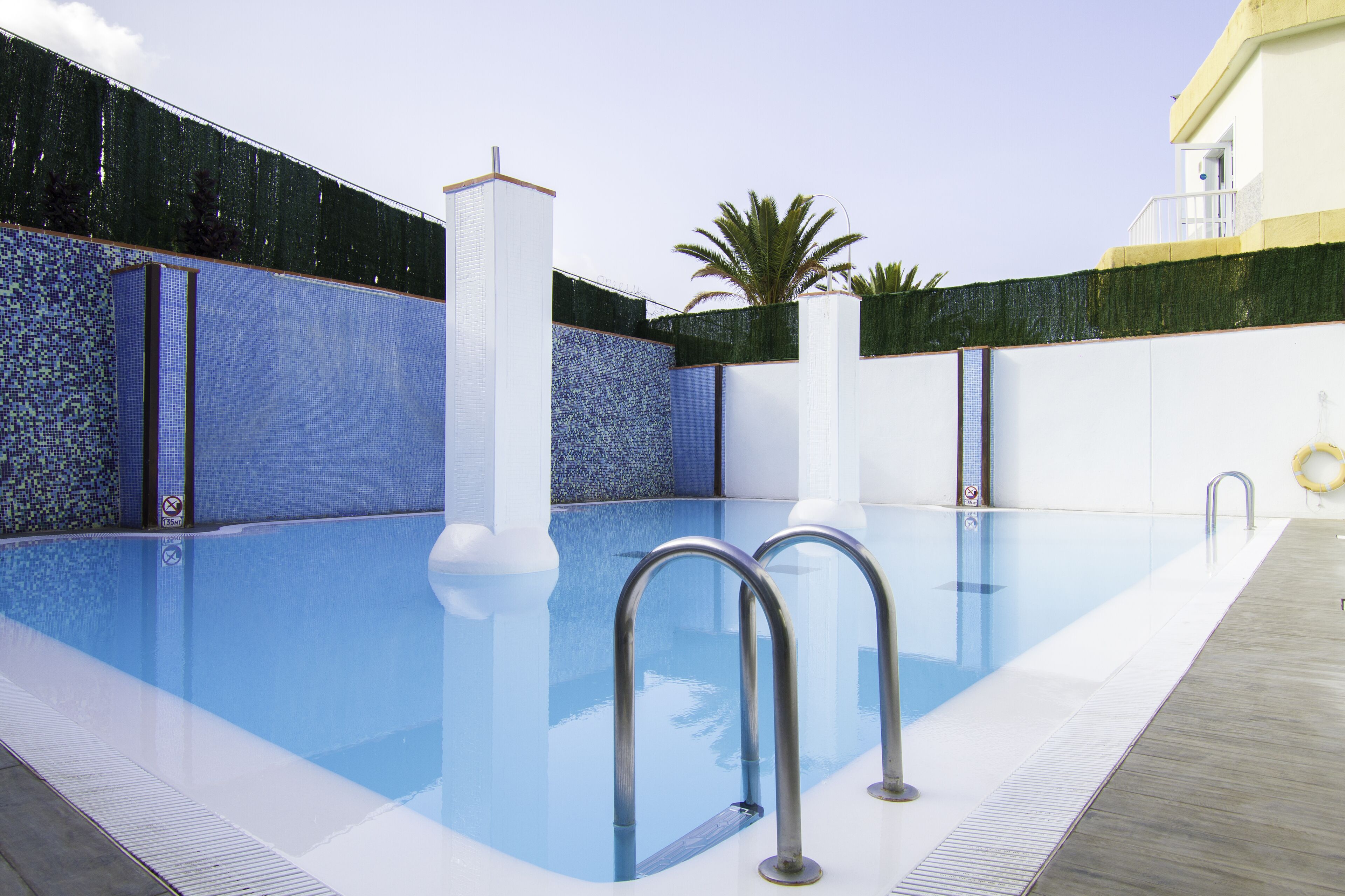 Piscina com grades de metal, parede azulejada e uma palmeira.