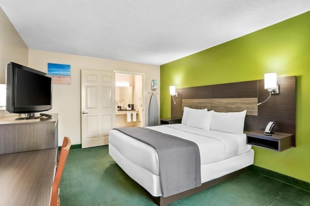 Quarto de hotel com cama, mesa de cabeceira, televisão e uma parede verde decorativa.