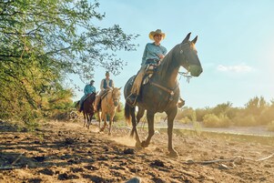Um grupo de pessoas a cavalo numa trilha de terra, com árvores de um lado e um corpo d'água do outro.