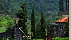 Um terraço com espreguiçadeiras, um muro de pedra e vista para colinas verdejantes.