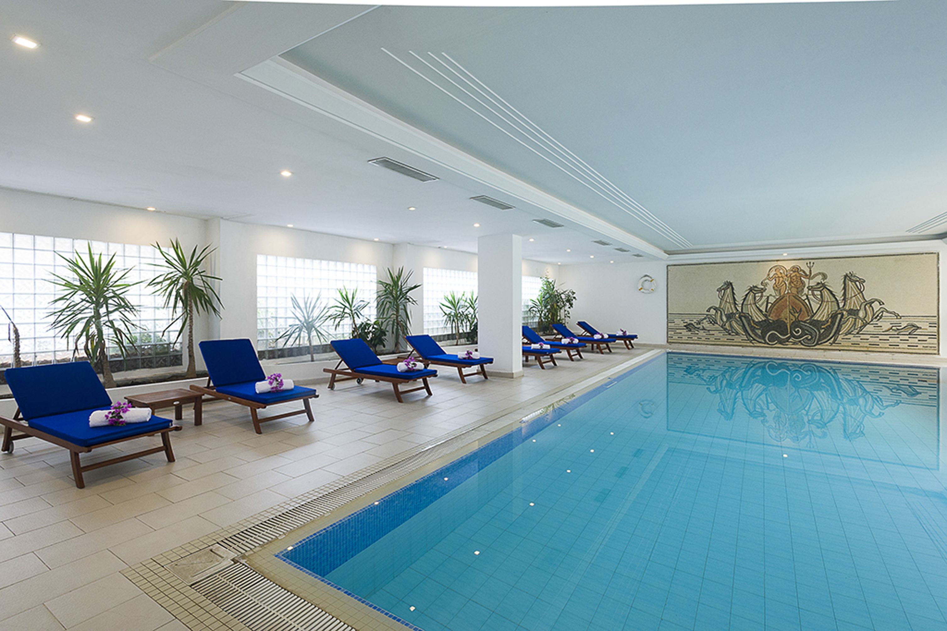 Uma piscina com espreguiçadeiras azuis e plantas em vasos.