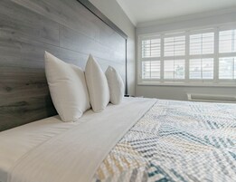 Secretária, Wi-fi grátis 