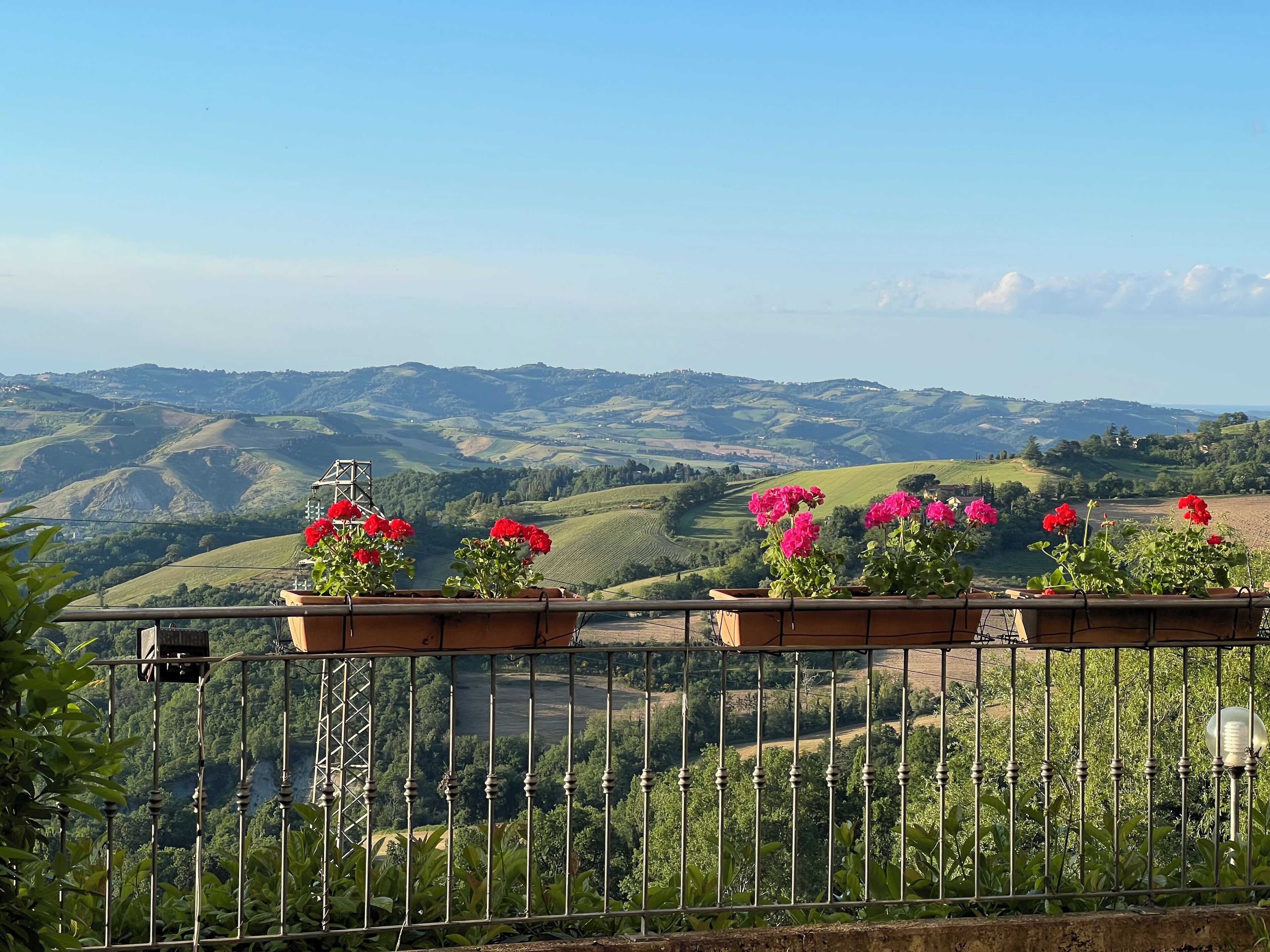Varanda com vasos de terracota contendo flores vermelhas, com vista para uma paisagem pitoresca de colinas ondulantes e vinhedos.