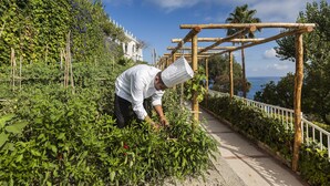 Uma pessoa cuidando de plantas em um jardim com pérgola de madeira e um caminho.