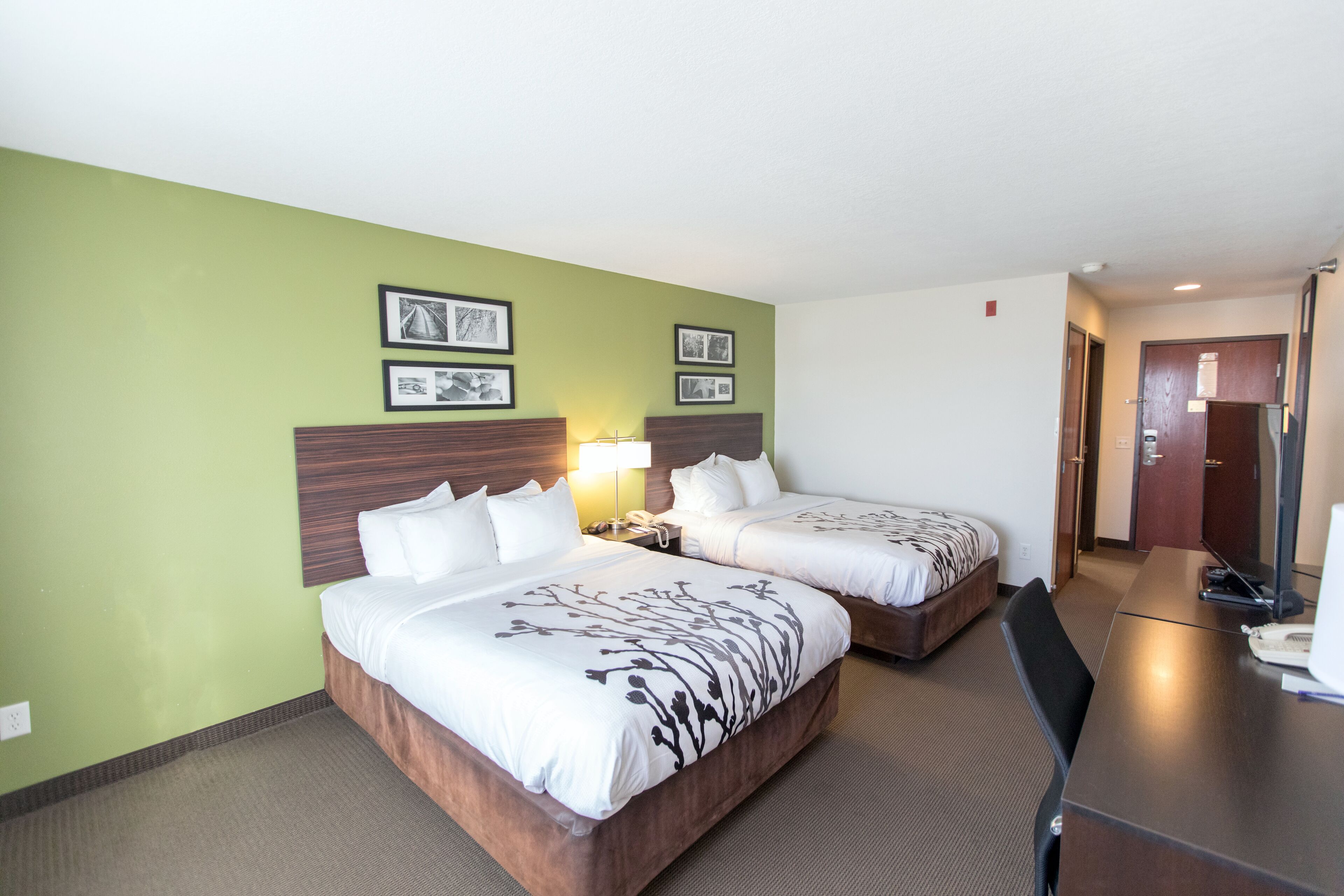 Quarto de hotel com duas camas, uma escrivaninha e uma cadeira. Há quadros nas paredes e uma porta ao fundo.
