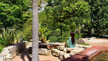 Jardim