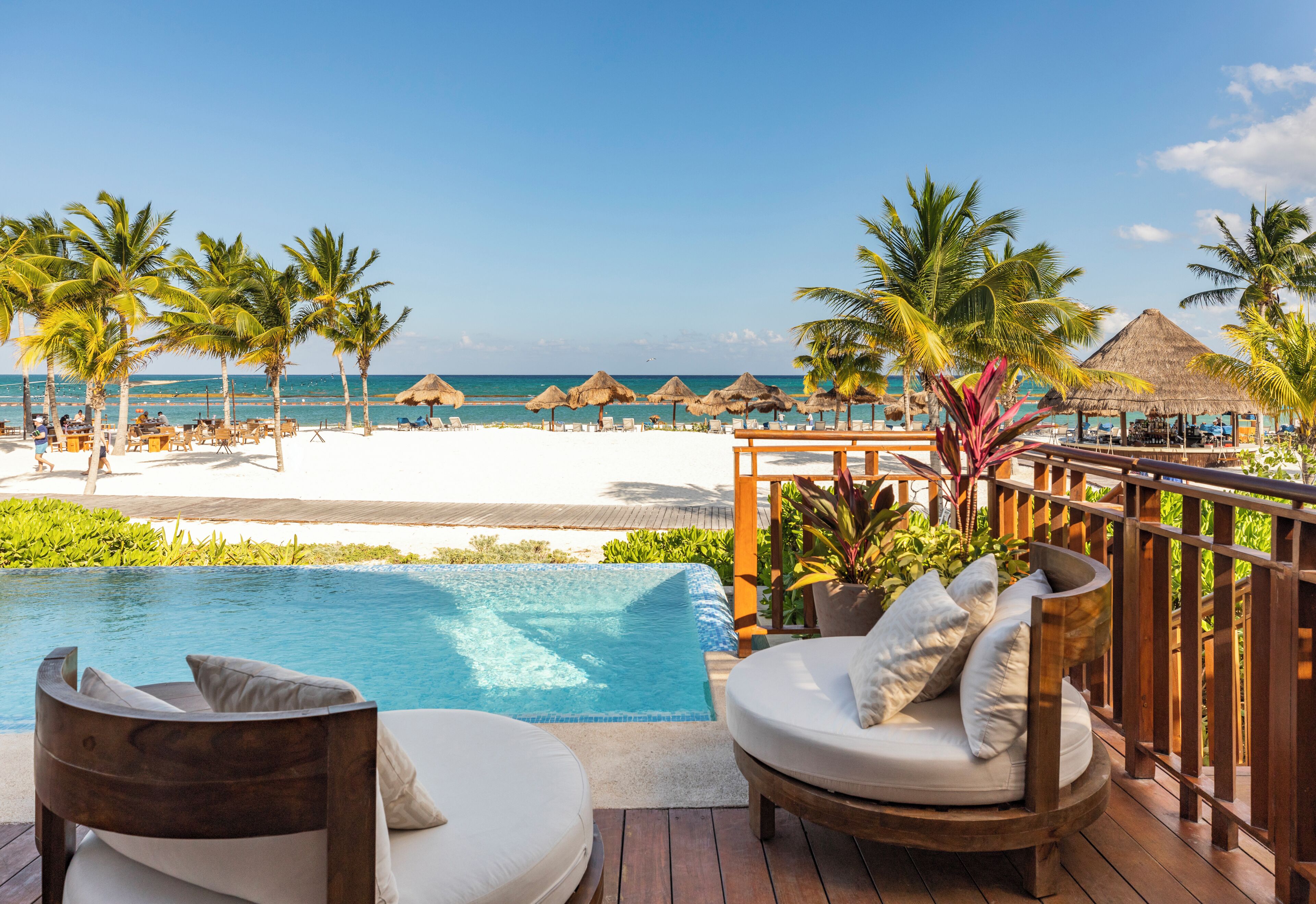 Suite Premium, 1 cama king-size, não fumadores, em frente à praia | Lençóis de algodão egípcio, roupa de alta qualidade, edredões de penas 