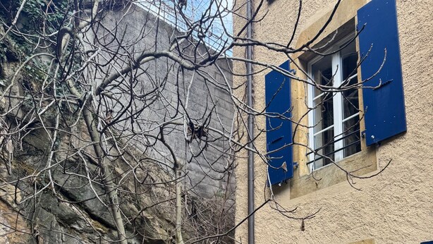 Um edifício com persianas azuis, uma parede de pedra e uma árvore à frente.