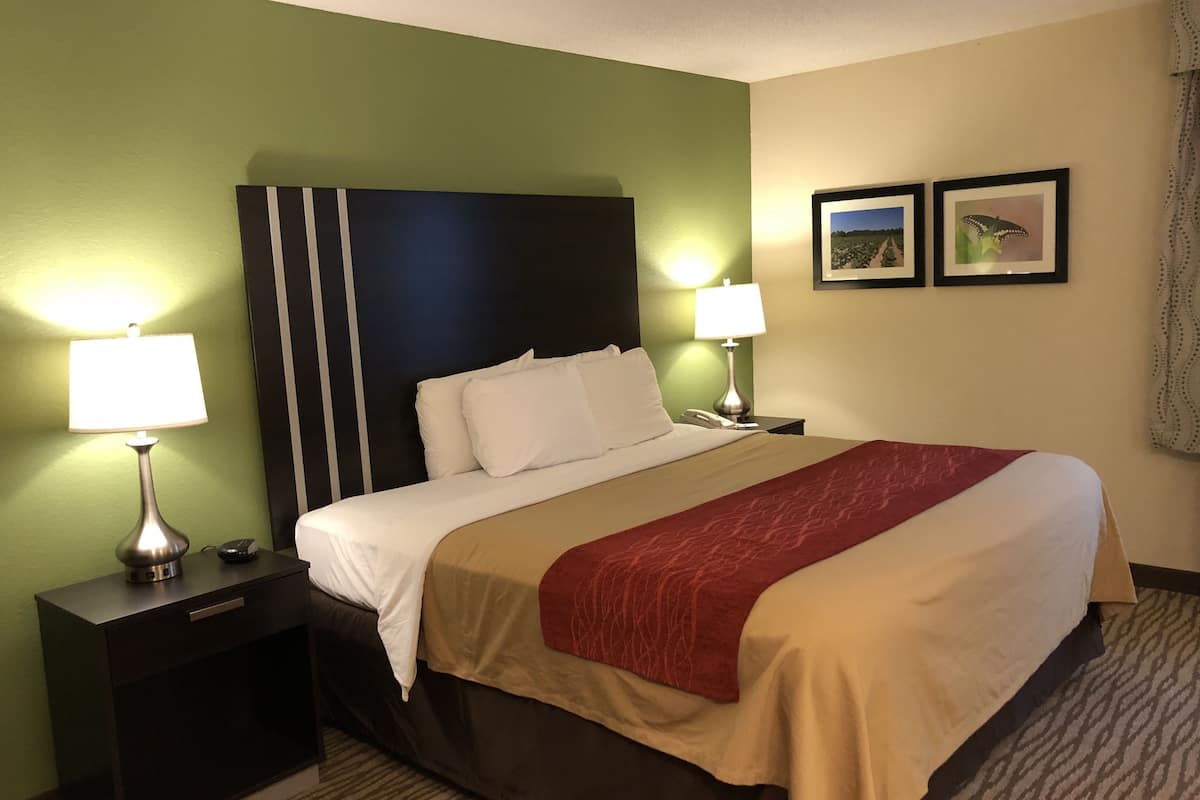 Quarto de hotel com uma cama, duas luminárias de cabeceira, um criado-mudo, um telefone e duas fotos emolduradas na parede.