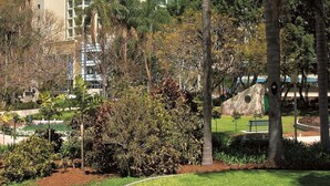 Um hotel moderno com vários sacadões, rodeado por um parque bem cuidado com palmeiras e arbustos.
