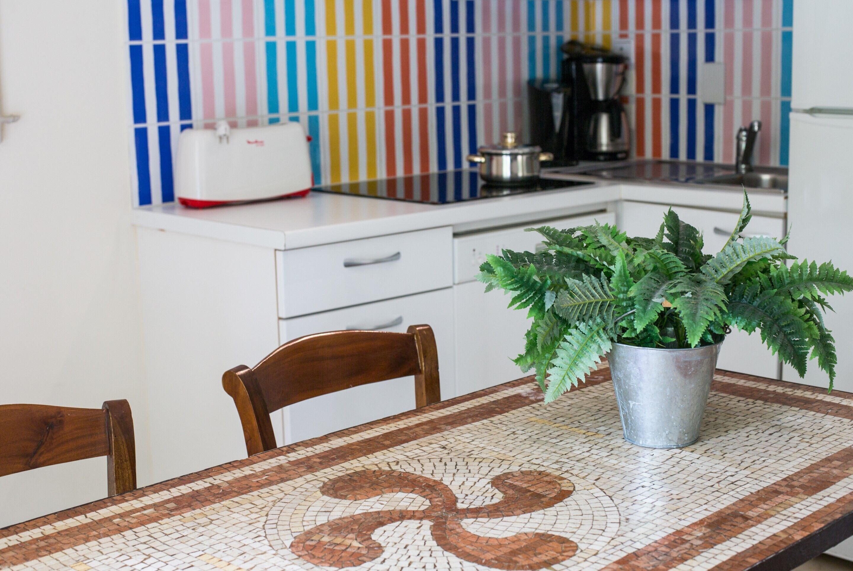 Cozinha com painel de azulejos, torradeira, máquina de café e uma planta em vaso sobre o balcão.