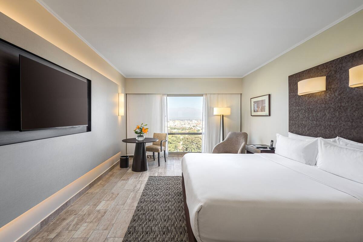 Quarto de hotel com uma cama grande, televisão de tela plana na parede, uma mesinha com um vaso de flores, duas cadeiras, uma escrivaninha com uma luminária e vista para a cidade pela janela.