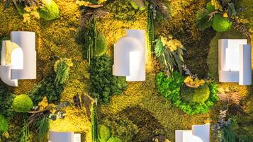 Um jardim interno circular com seis vasos brancos, cada um com um aparelho de iluminação, cercado por diversas plantas e musgo.