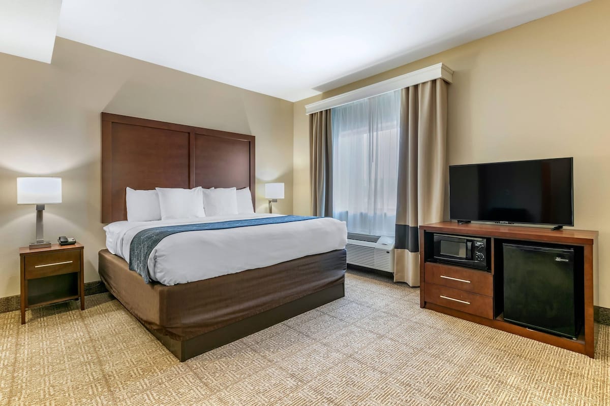 Quarto de hotel com cama, televisão, micro-ondas e pequeno frigorífico.
