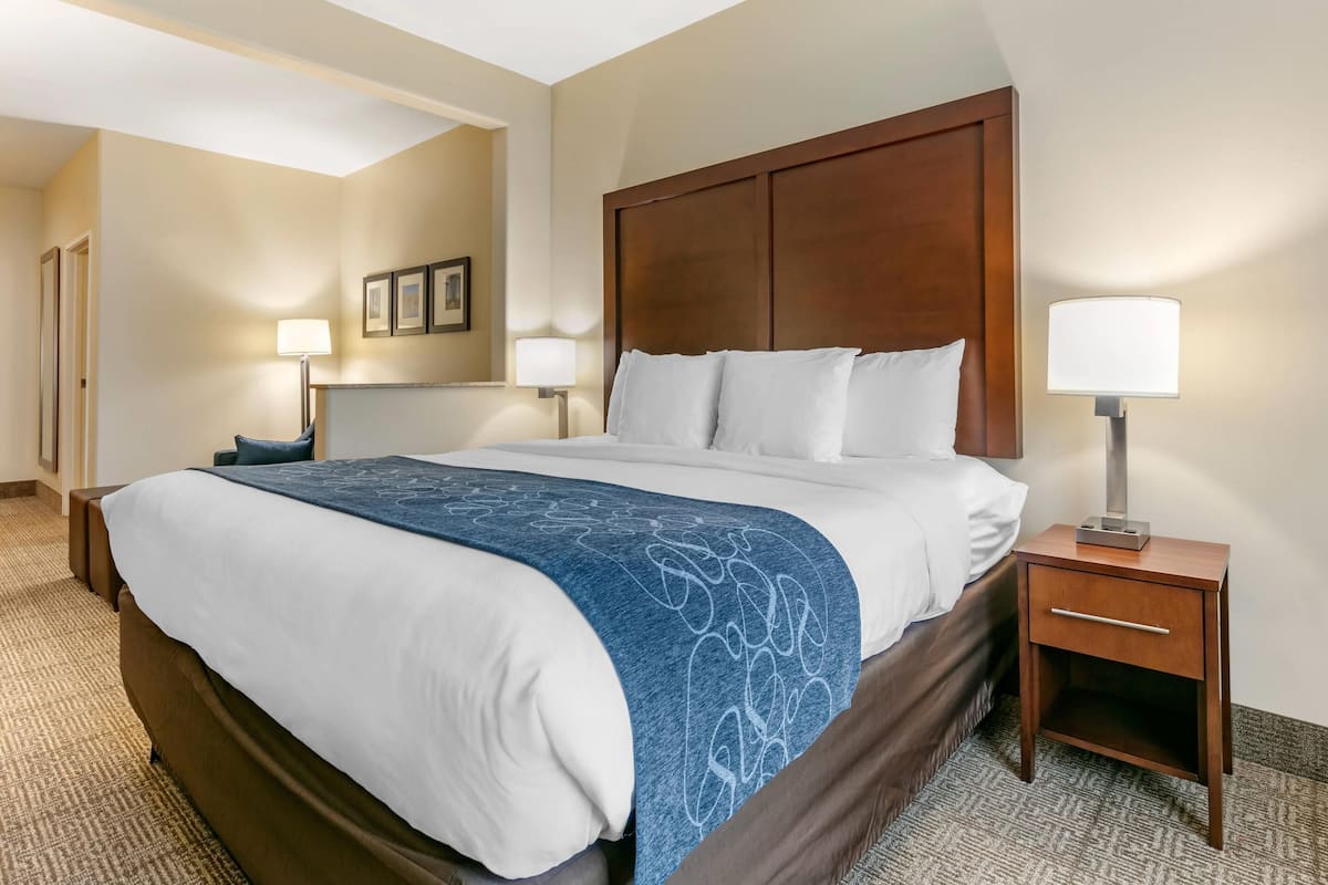 Quarto de hotel com uma cama grande, duas mesas de cabeceira com luminárias, uma cabeceira de madeira e piso coberto por carpete.