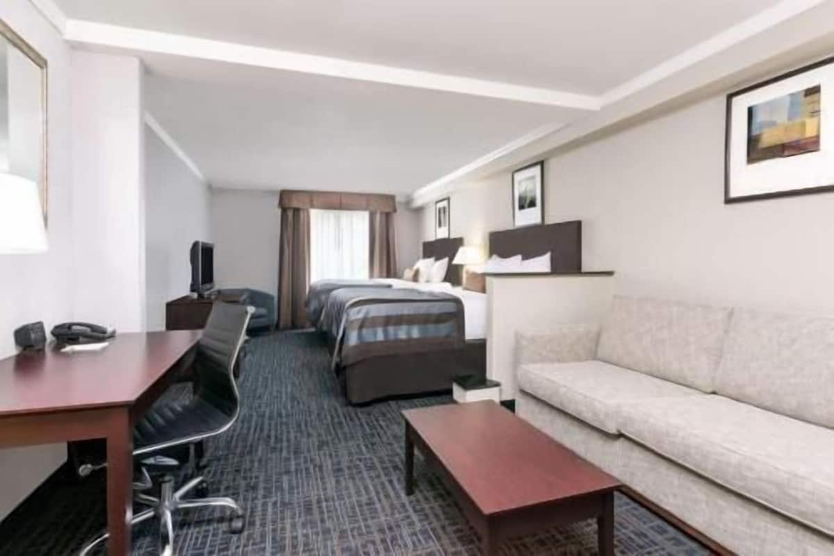 Quarto de hotel com cama, sofá, escrivaninha e cadeira.