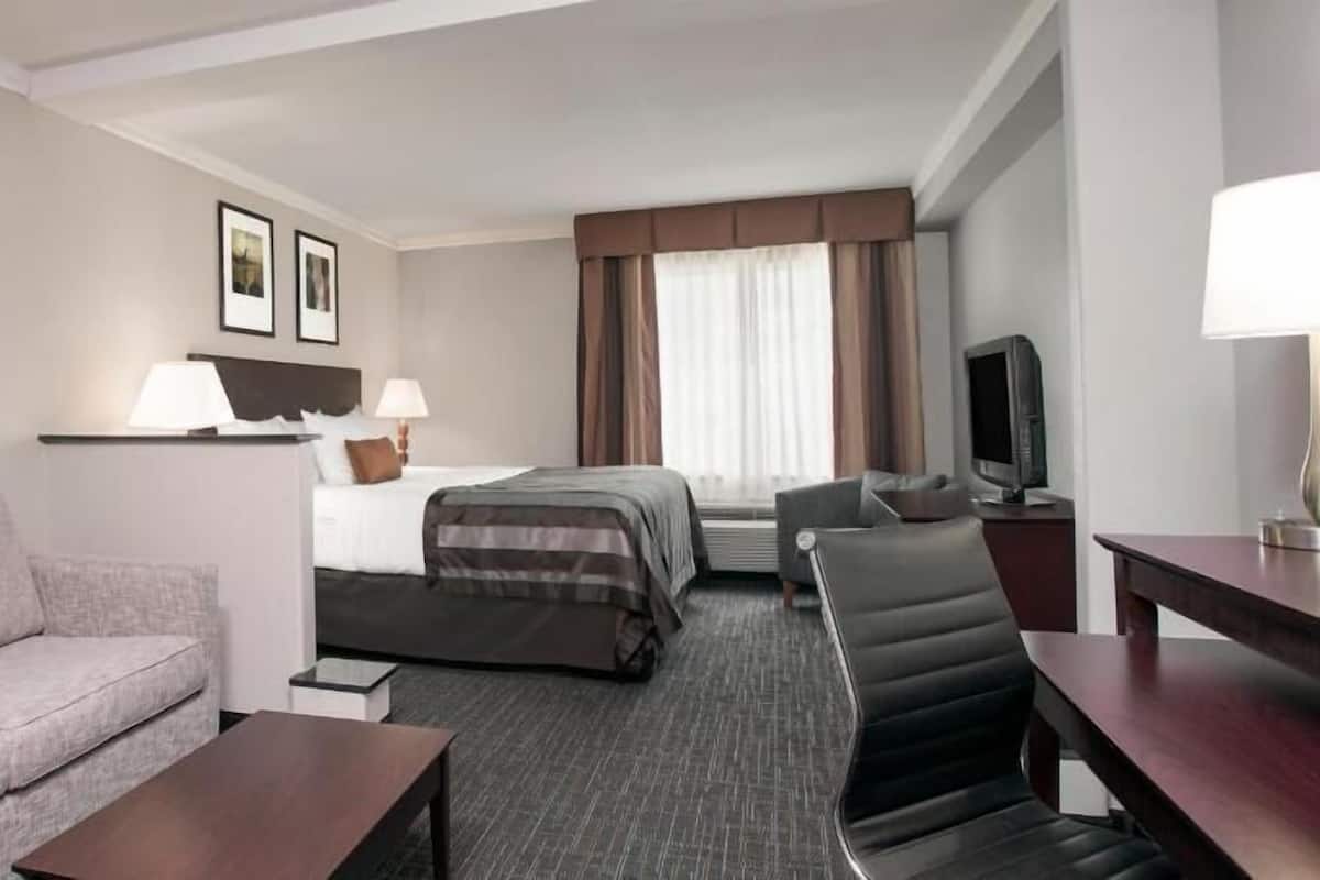 Quarto de hotel com cama, sofá, escrivaninha, cadeira, televisão e quadros nas paredes.