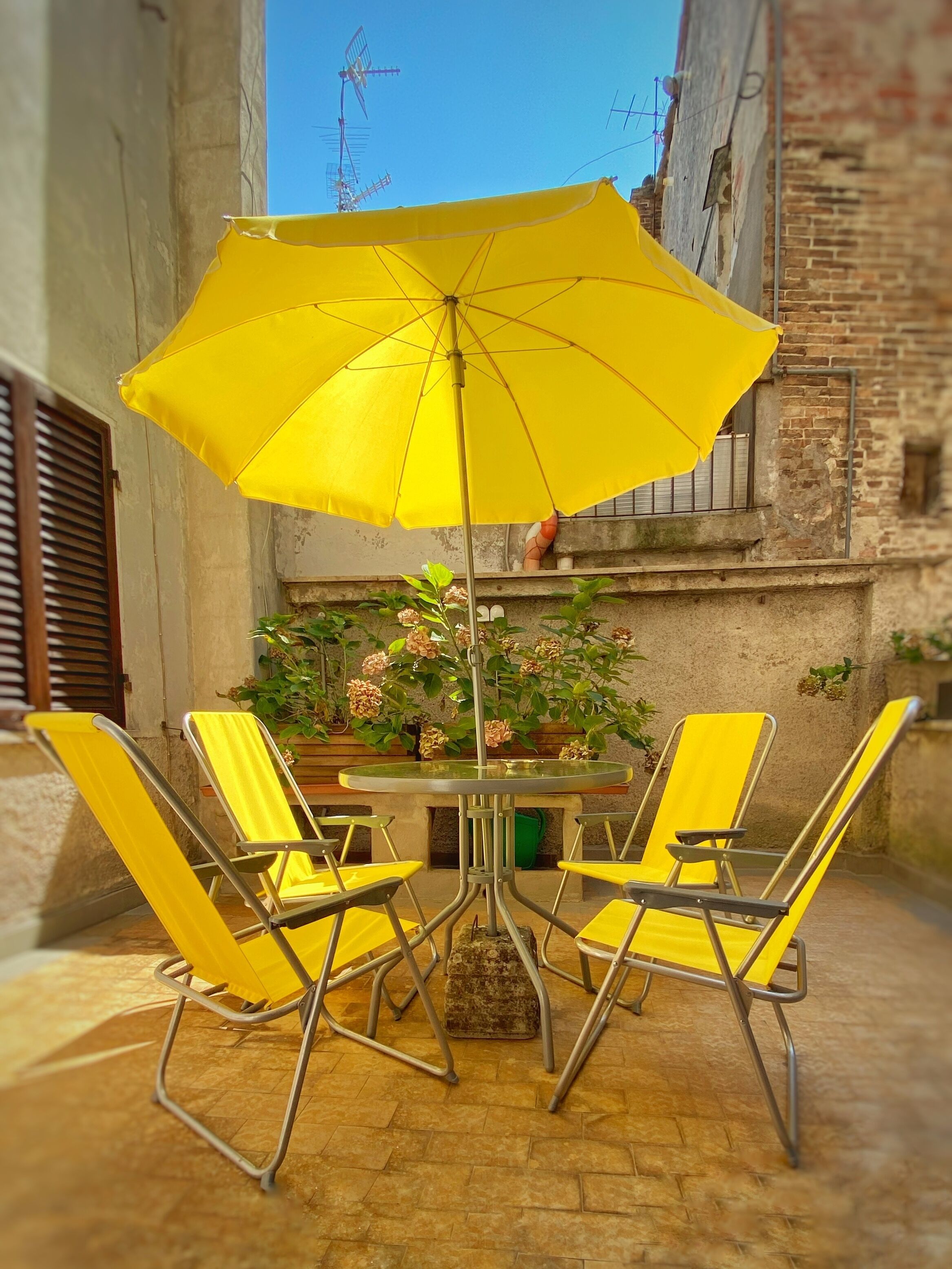 Conjunto de mesa e cadeiras amarelas sob um grande guarda-sol amarelo, com uma planta em vaso e flores ao fundo.