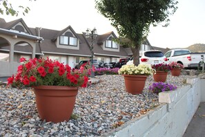 Zona residencial com casas, carros estacionados e vasos de flores coloridas.