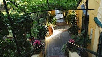 Jardim