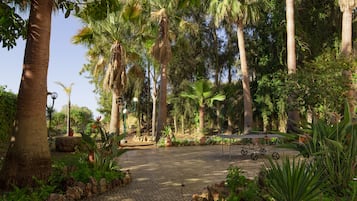 Jardim