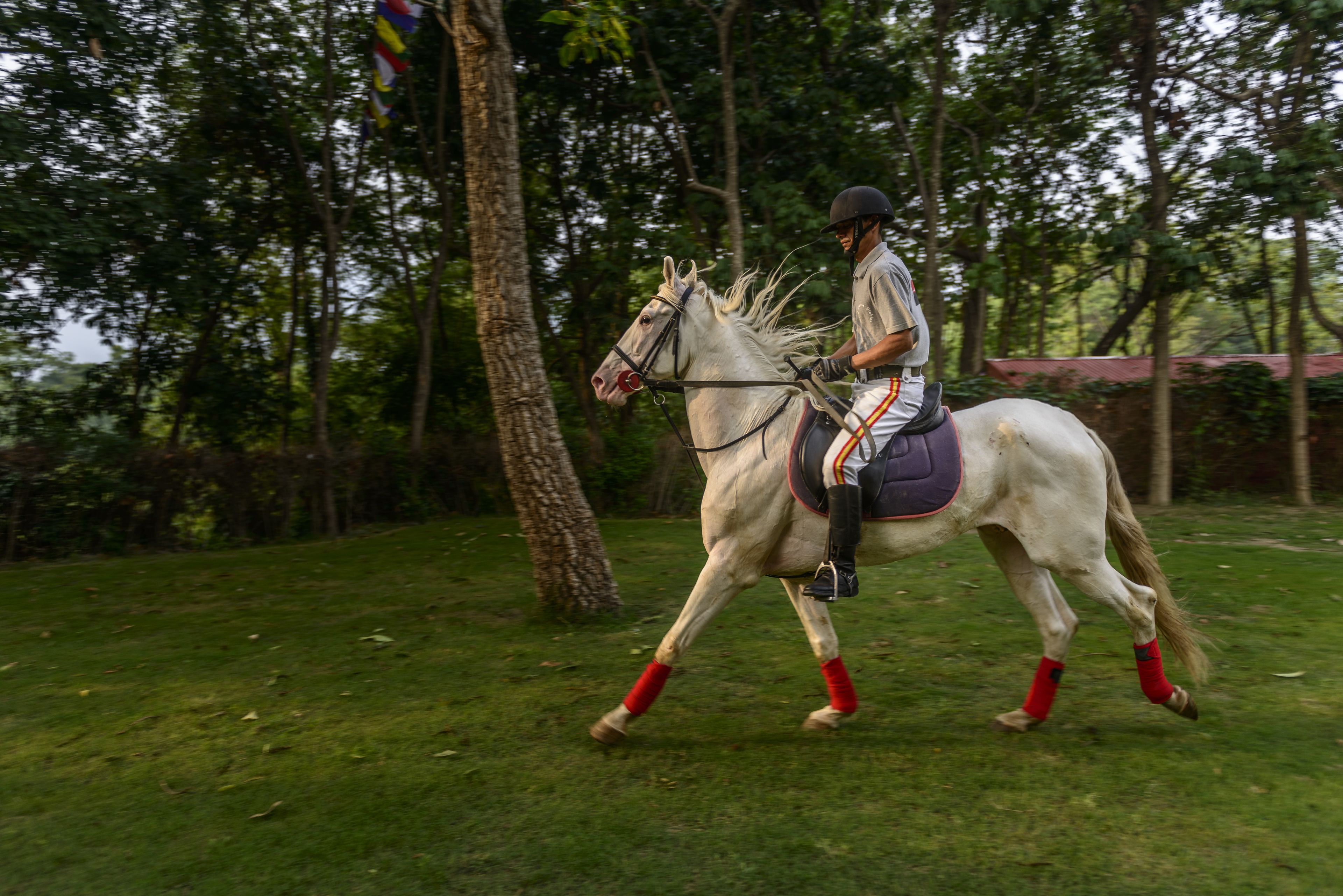 Uma pessoa montando um cavalo branco com ataduras vermelhas e pretas nas pernas e uma manta, em uma área gramada com árvores ao fundo.