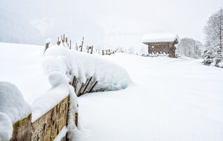 Passeios com raquetes de neve