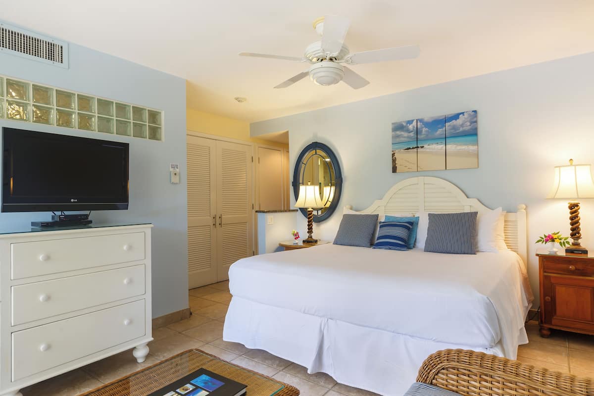 Quarto com cama, televisão, ventilador de teto, espelho e mesa de cabeceira com luminária.