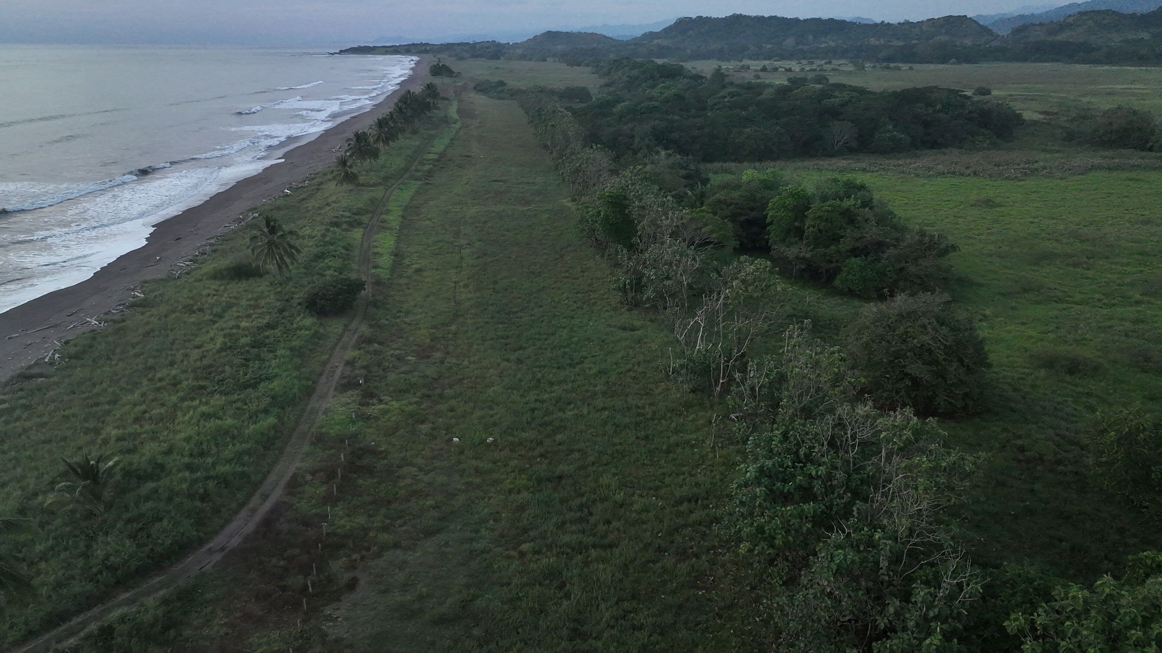 Paisagem costeira com uma praia, um caminho de terra e vegetação densa.