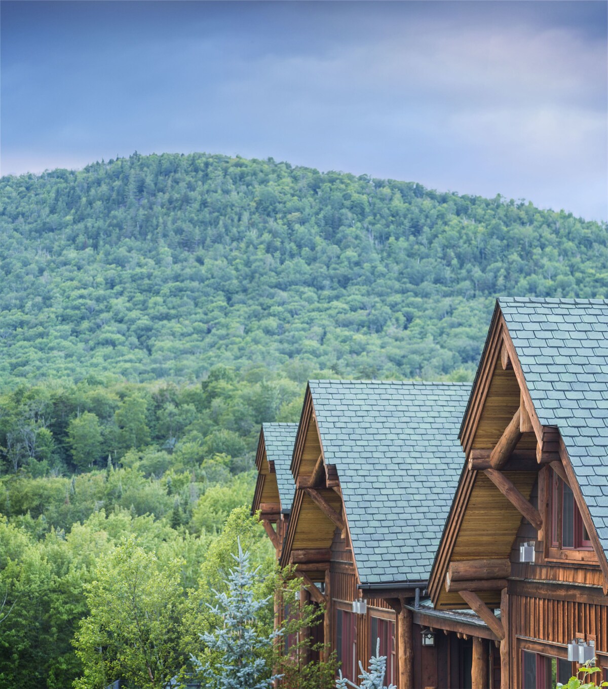 The Whiteface Lodge Reviews, Deals & Photos 2024 - Expedia