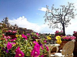 Terraço com vista para edifícios históricos, uma árvore e flores em vasos.