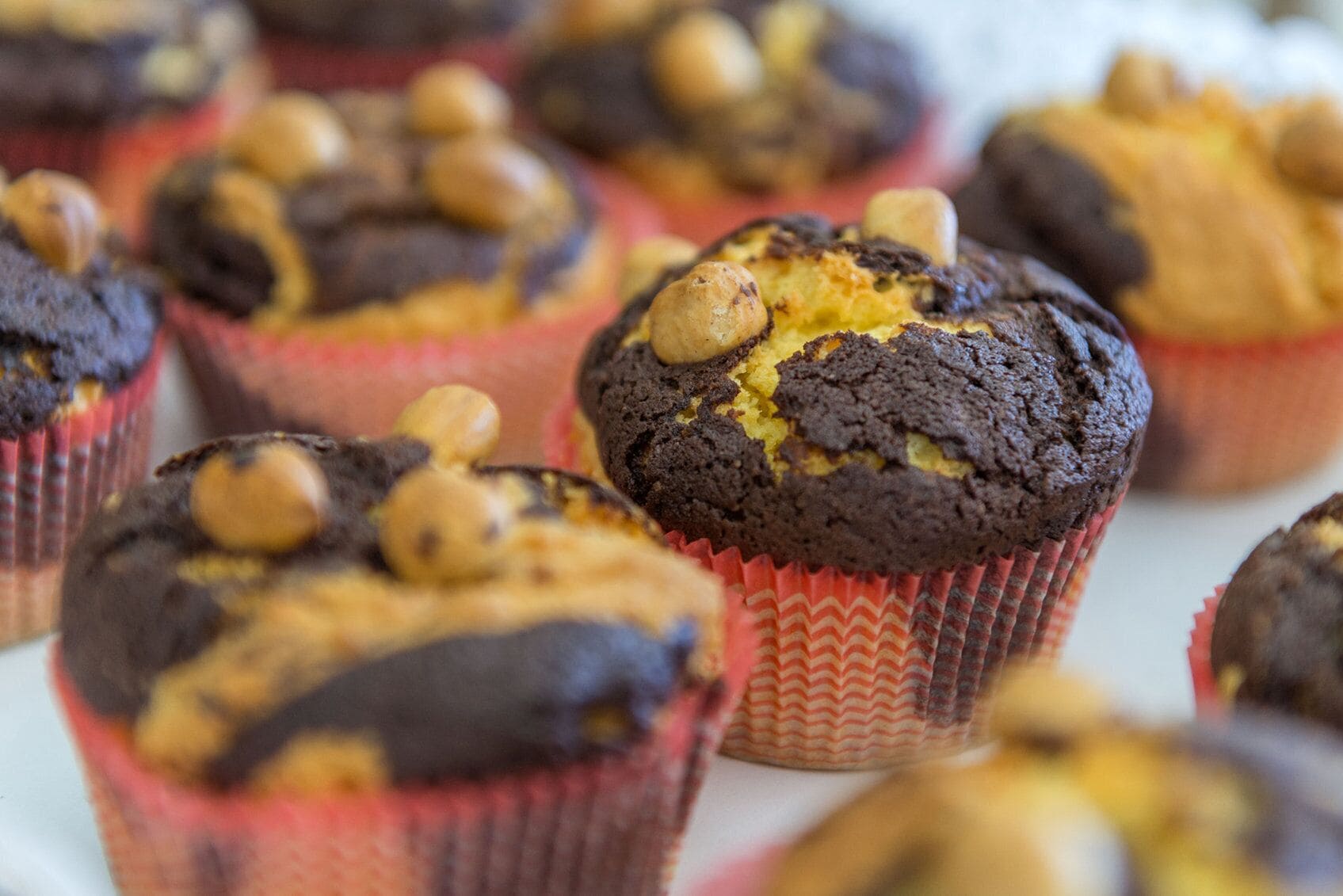 Close-up de muffins de chocolate com nozes por cima.