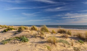 Na praia, praia de areia branca, autocarro grátis para a praia 