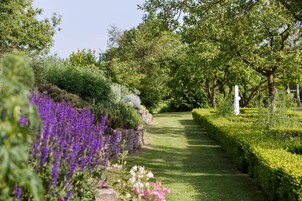 Suíte, 1 cama de solteiro, terraço, no jardim | Vista para o jardim