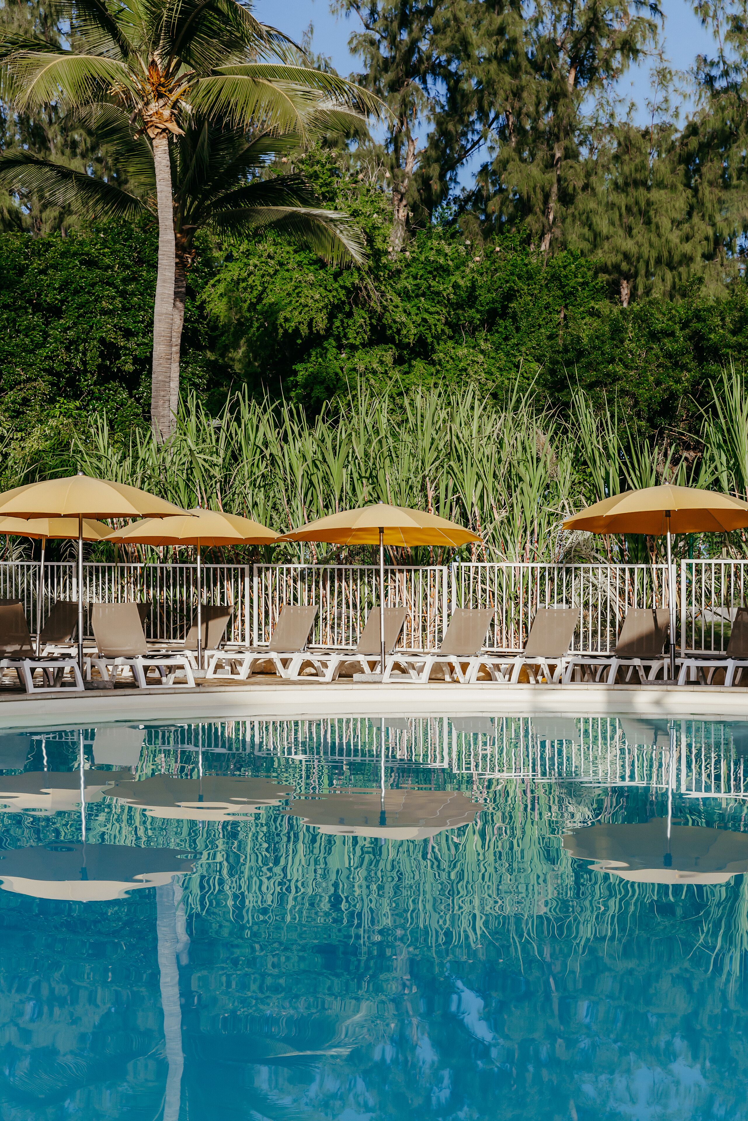 Uma área de piscina com espreguiçadeiras e guarda-sóis, cercada por gramíneas altas e árvores.