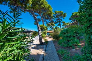 Pormenores do exterior