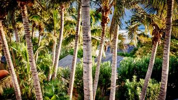 Terrenos do alojamento