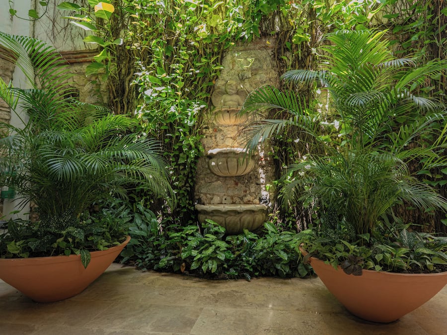 Jardim