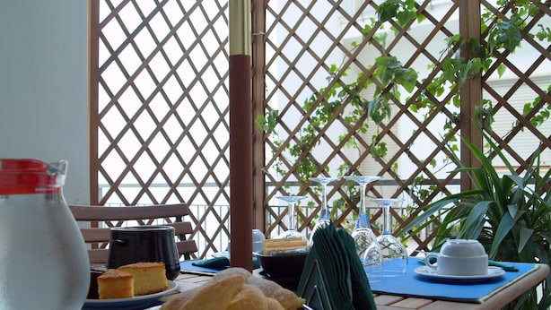 Uma mesa posta com uma garrafa, um prato com um bolo, um croissant e uma xícara, com um fundo em treliça e plantas.