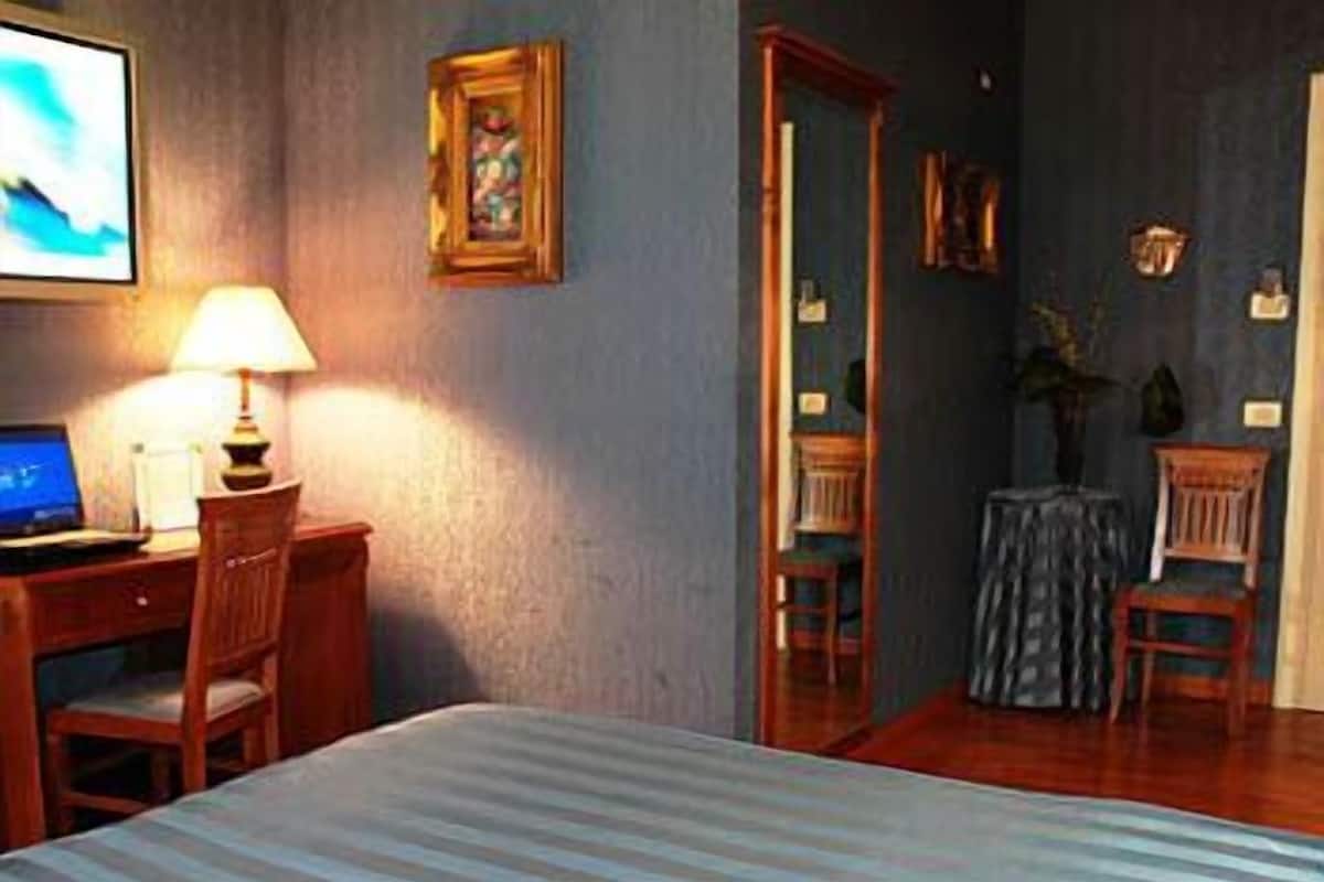 Cofre no quarto, secretária, cortinas/cortinados opacos, Wi-fi grátis 
