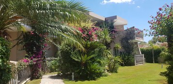 Jardim
