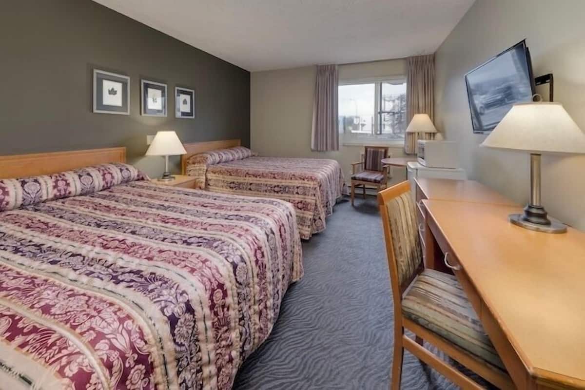 Standard Room, 2 Queen Beds (Pet Friendly) | Secretária, ferro/tábua de engomar, Wi-fi grátis 