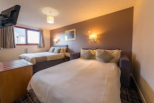 Quarto Duplo Familiar, 1 cama de casal e sofá-cama | Lençóis de algodão egípcio, roupa de alta qualidade, edredões de penas