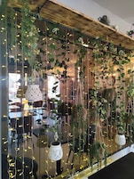Quarto com plantas pendentes e luzes de fada, uma mesa com cadeiras e uma janela com vista para o exterior.