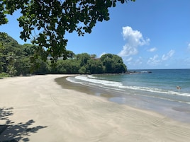 Uma praia arenosa com ondas suaves, rodeada por vegetação verde exuberante e um céu azul límpido.