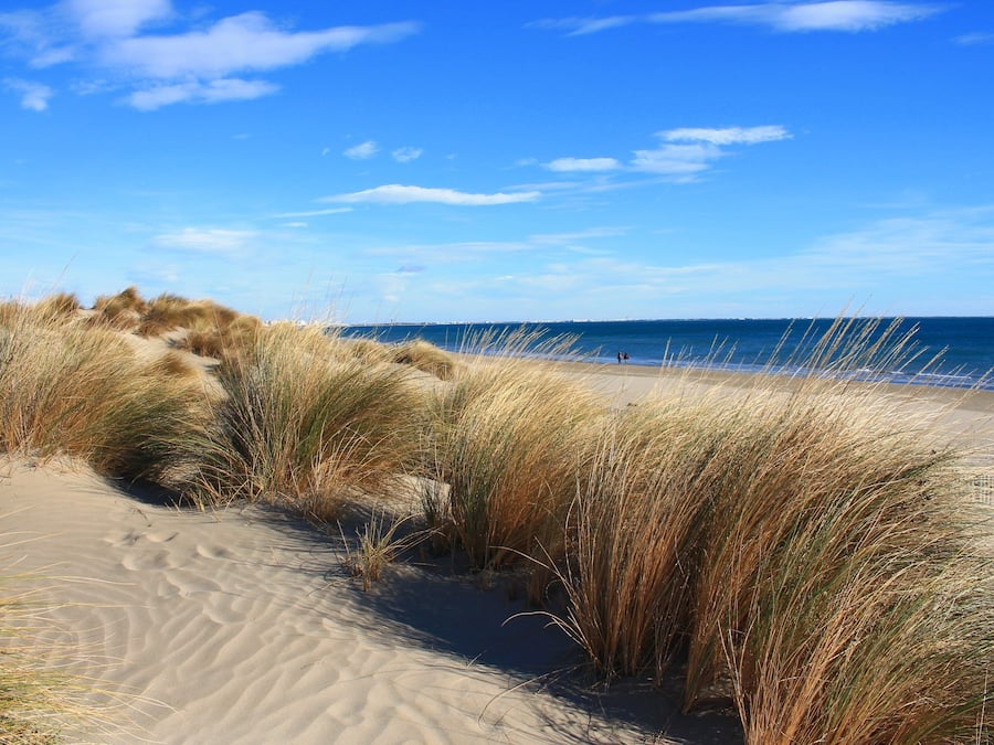 Perto da praia, praia de areia branca, windsurf, 6 bares na praia